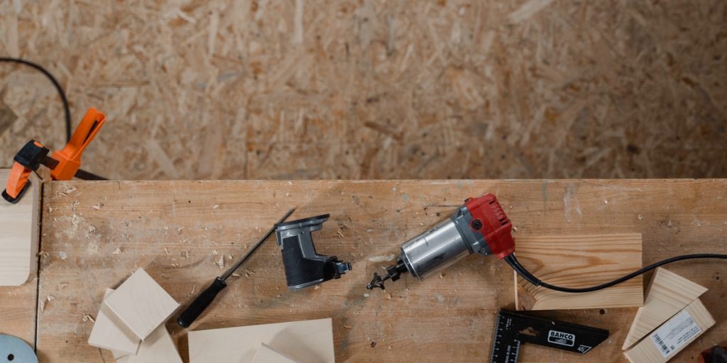 Fraises À Bois : Tout Ce Qu’Il Faut Savoir