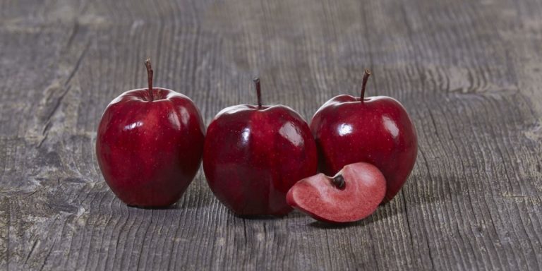 Top 15 Variétés De Pommes À Cultiver Dans Votre Jardin